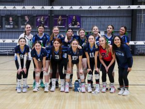 FEVA Teams – Falcon Elite Volleyball Alliance